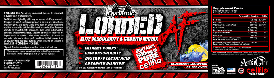 The Dynamic Evolution