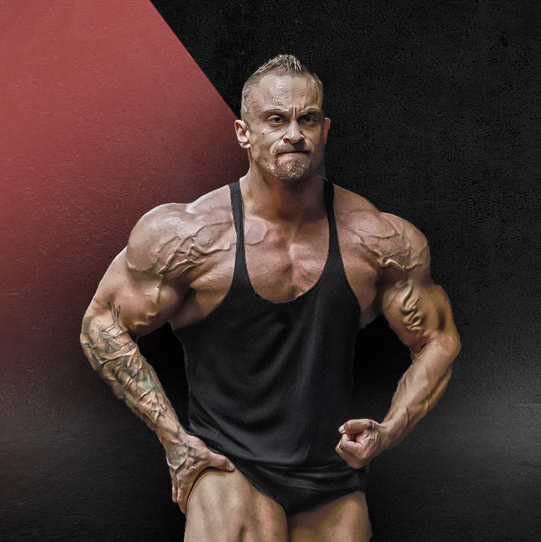 The Dynamic Evolution